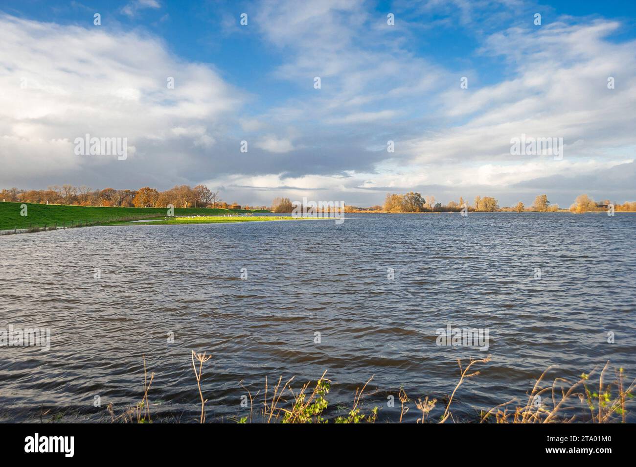 Netherlands. 25th Nov, 2023. Flooded area, due to heavy rain and wind ...