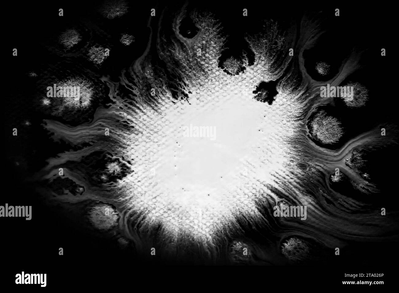 abstract paint brush stroke shape white ink splattering flowing and ...