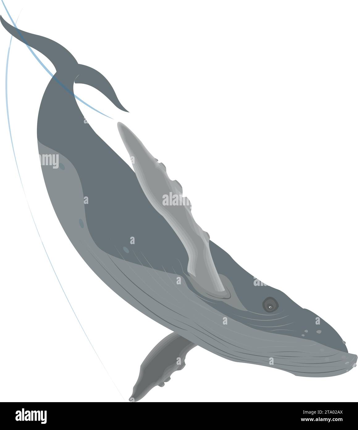 Big blue baleen whale swimming through the sea, cartoon illustration ...