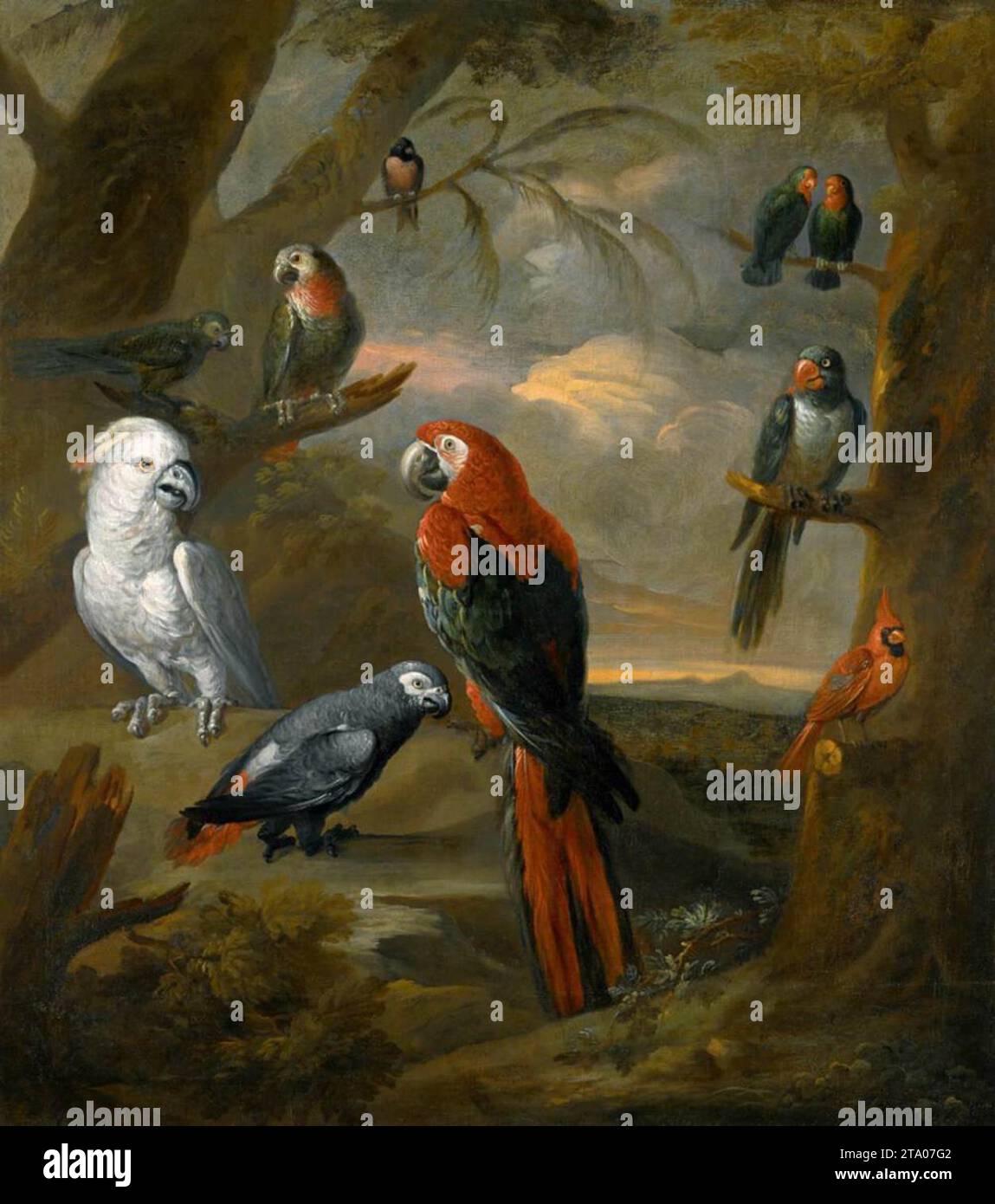 Parrots in an Extensive Woodland Landscape - by Tobias Stranover Stock ...