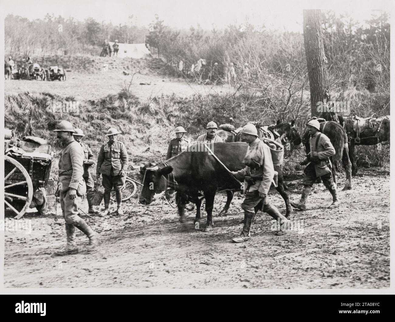 Anglo french war hi-res stock photography and images - Alamy
