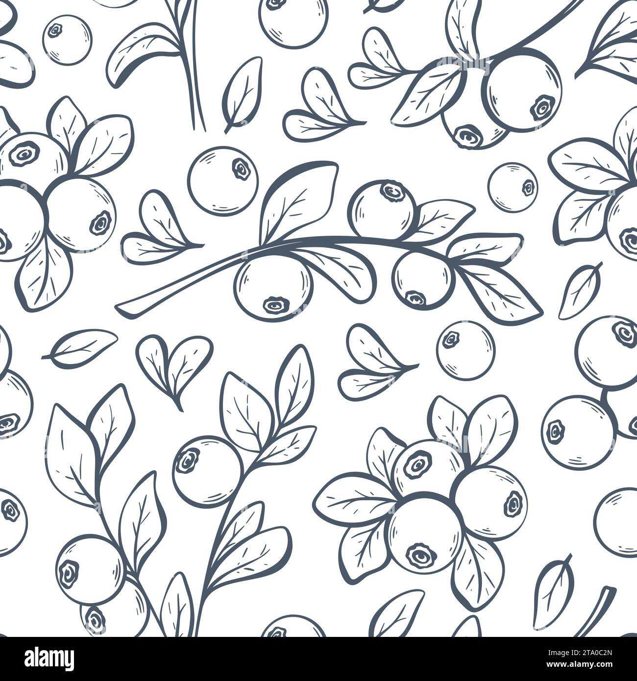 Blueberry vintage seamless pattern. Hand engraving butterfly background ...