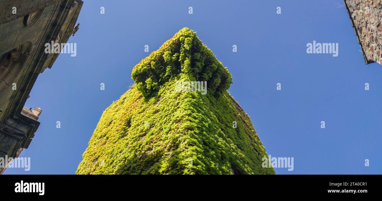 Sande Tower, Medieval old palace house covered in green Virginia ...