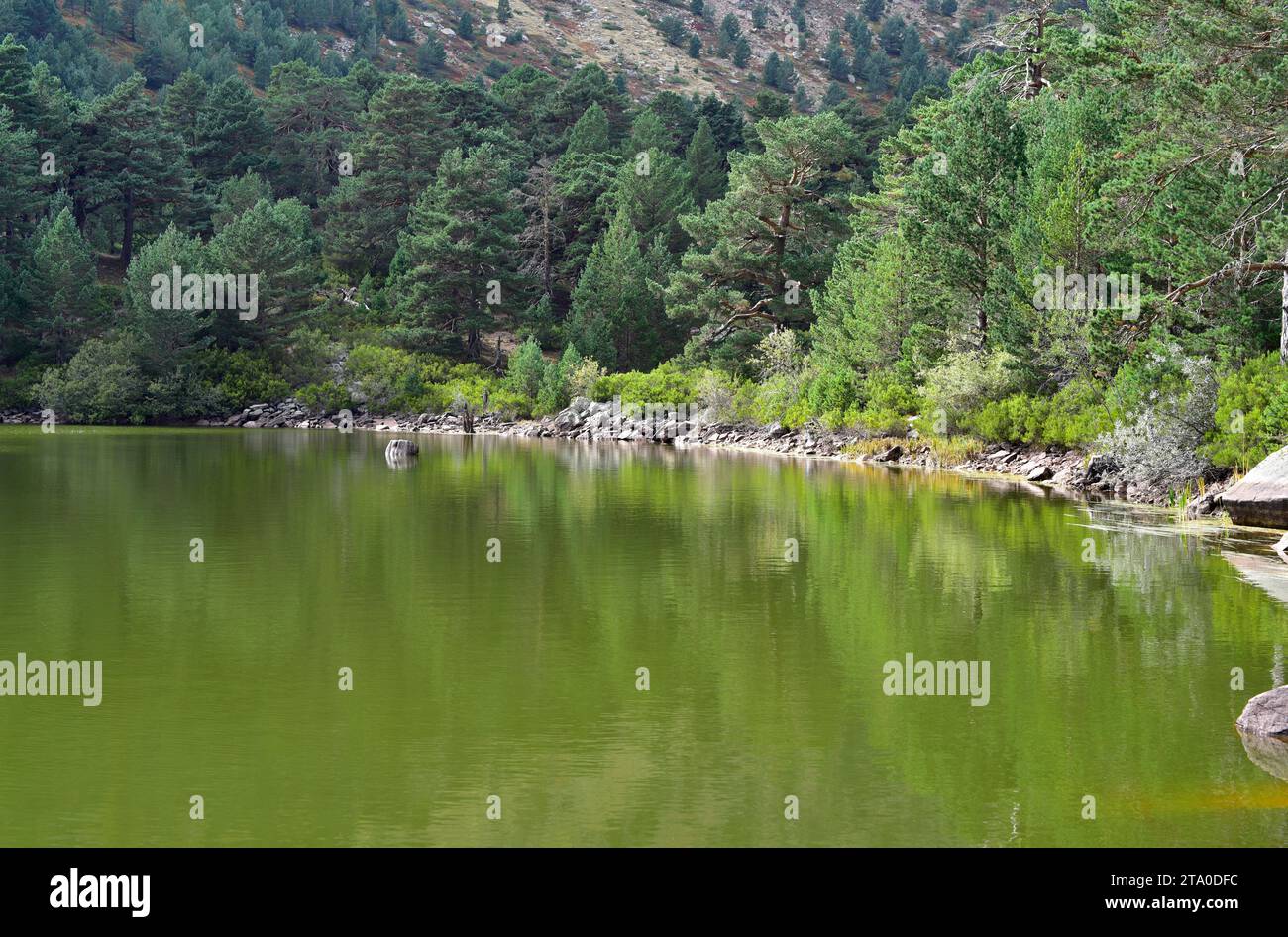 Parque natural de las lagunas glaciares de neila hi-res stock ...