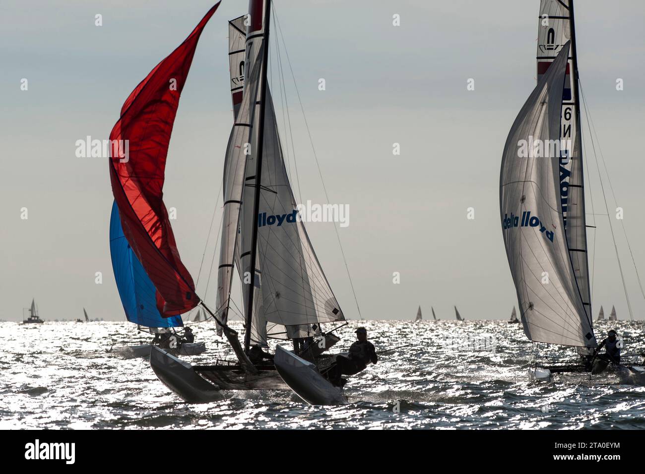 Vittorio BISSARO and Silvia SICOURI (ITA 37), Nacra Serie, in sailing action during the SOF ...