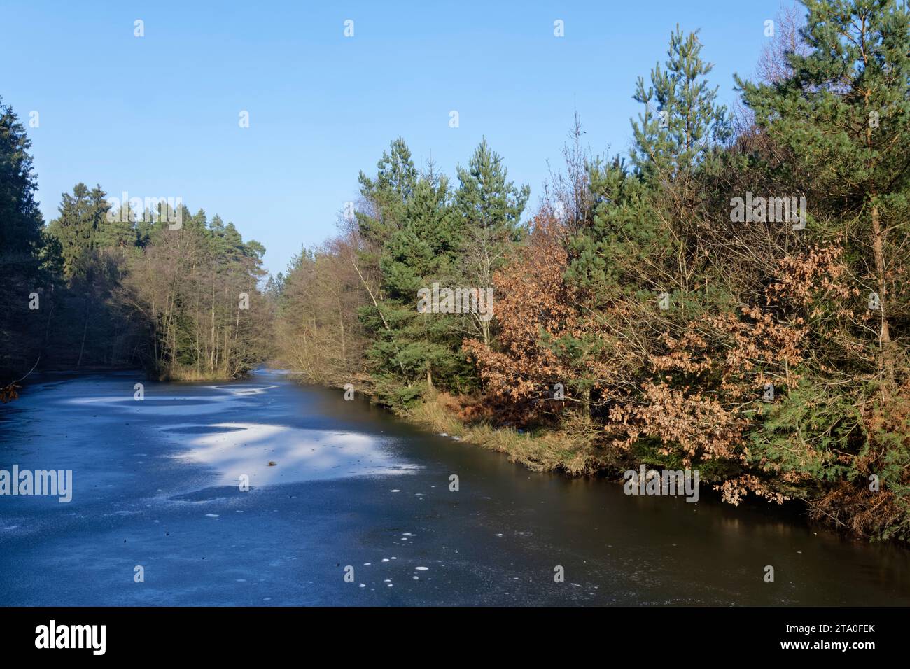 Top lake, Mallards Pike, frozen and dusted with snow in winter, Forest ...