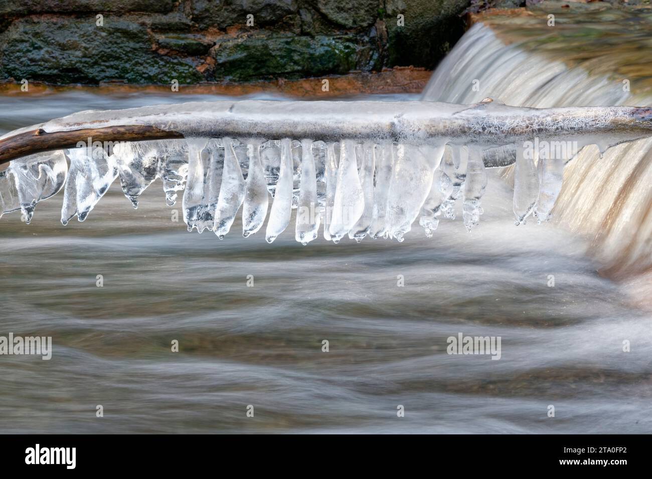 Icicles formed on a branch caught on the stepped weir below Mallards ...