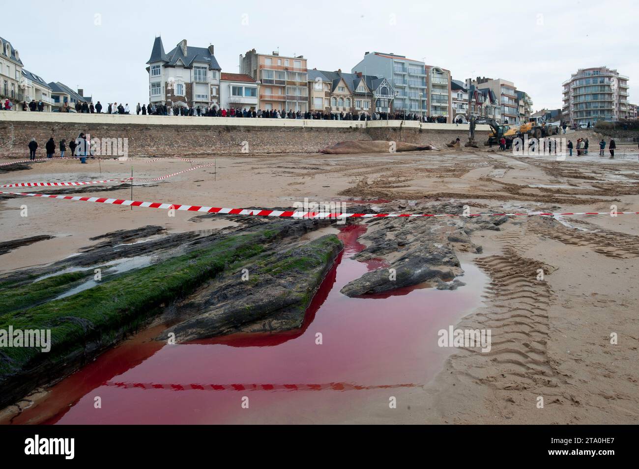 SAILING - VENDEE GLOBE 2012/2013 - LES SABLES D'OLONNE (FRA) - 25/01/13 ...