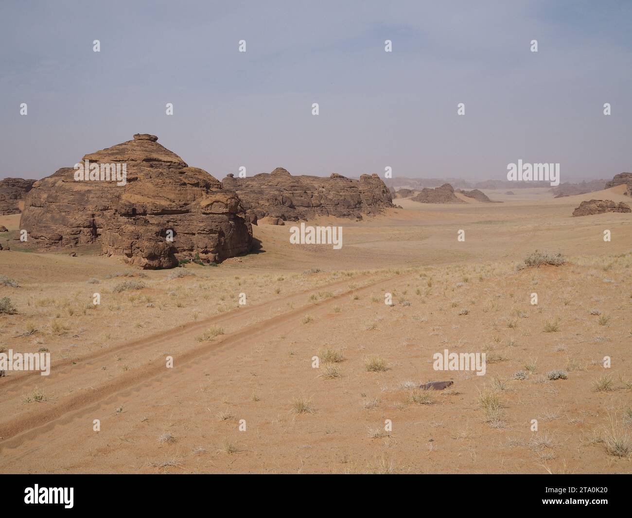 Sharaan Nature Reserve, AlUla, Saudi Arabia Stock Photo - Alamy