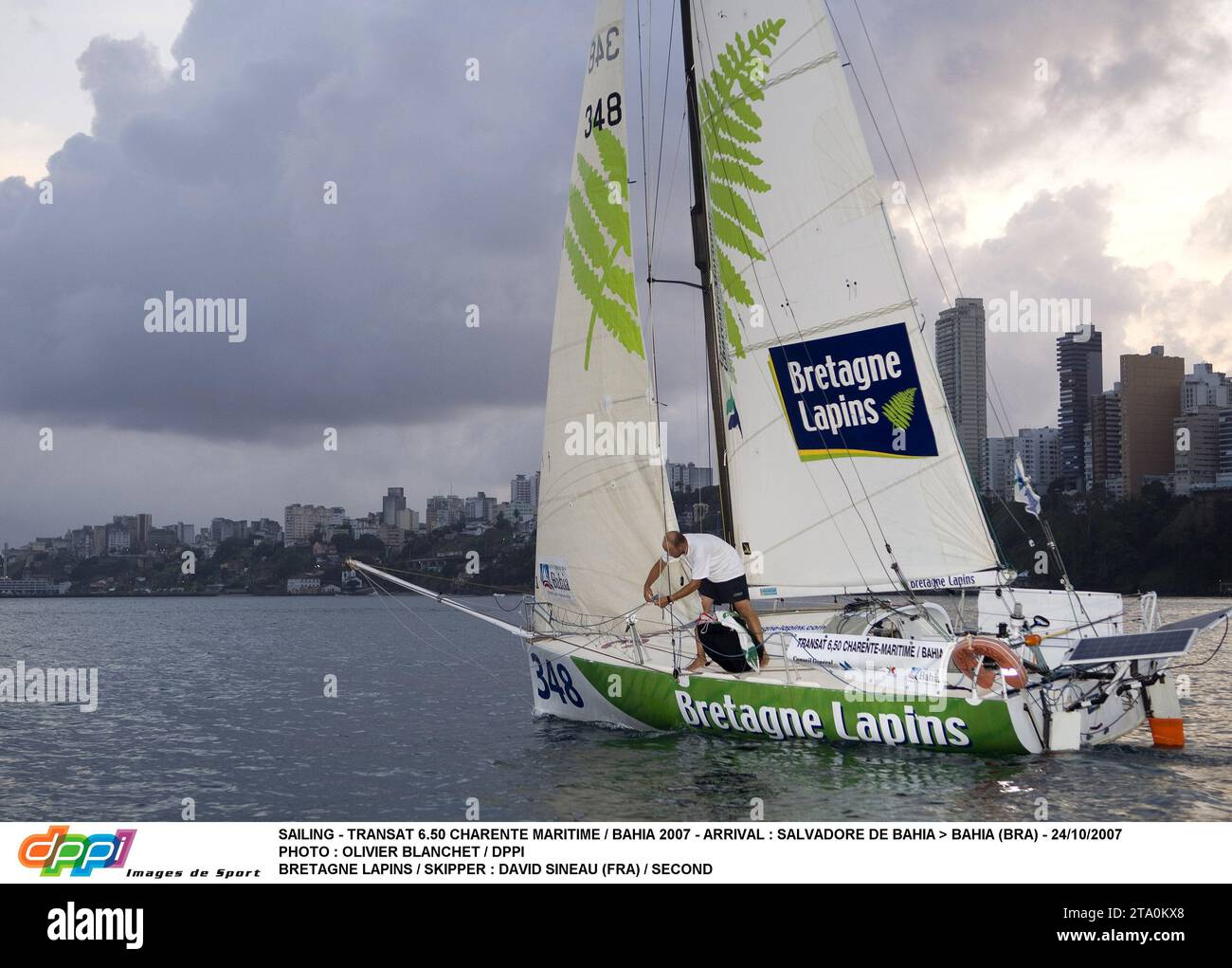 Bretagne lapins hi-res stock photography and images - Alamy