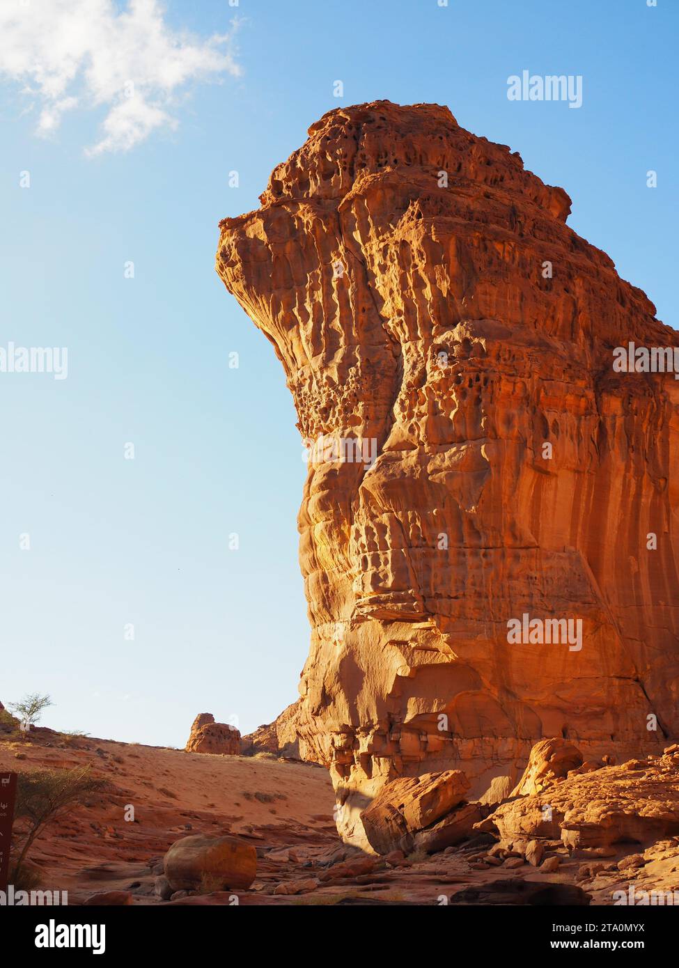 Wadi AlNaam, AlUla, Saudi Arabia Stock Photo - Alamy