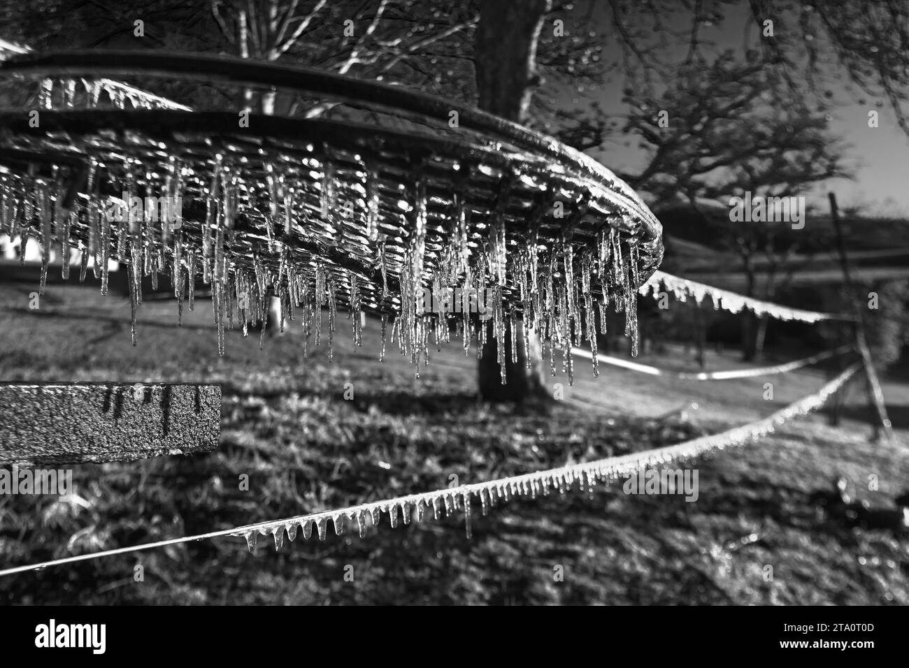 Early Morning Icicles 15472 Stock Photo - Alamy