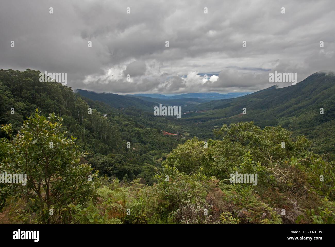 Magoebaskloof hiking trail hi-res stock photography and images - Alamy