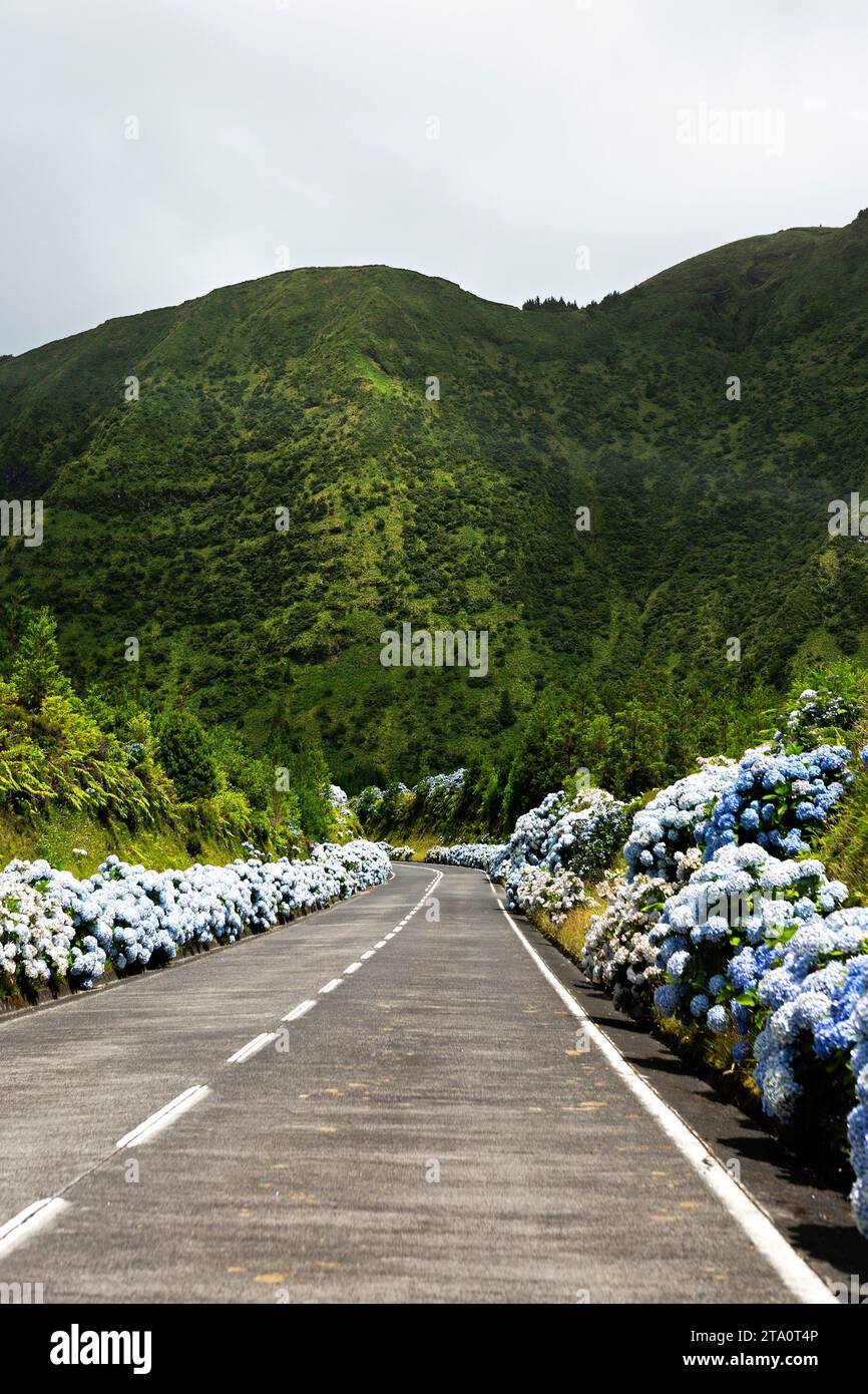 Capturing the Breathtaking Beauty of the Azores, Portugal: An ...