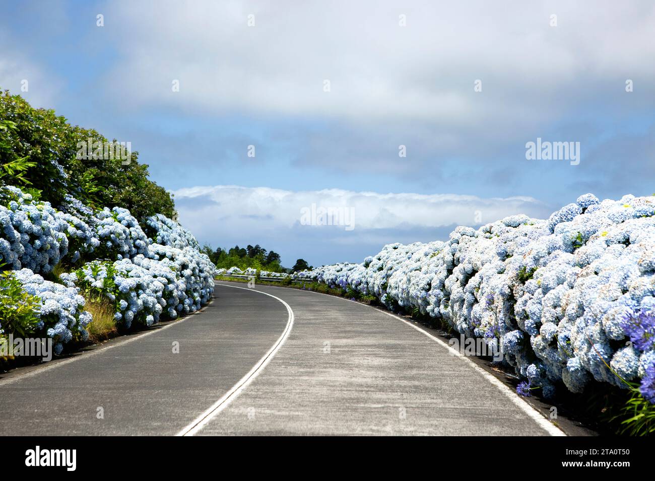 Capturing the Breathtaking Beauty of the Azores, Portugal: An ...