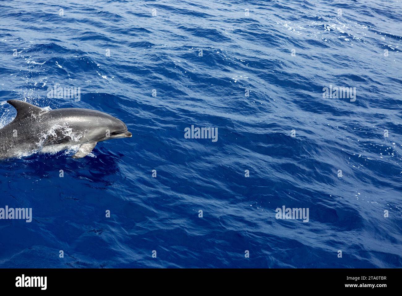 Capturing the Breathtaking Beauty of the Azores, Portugal: An ...