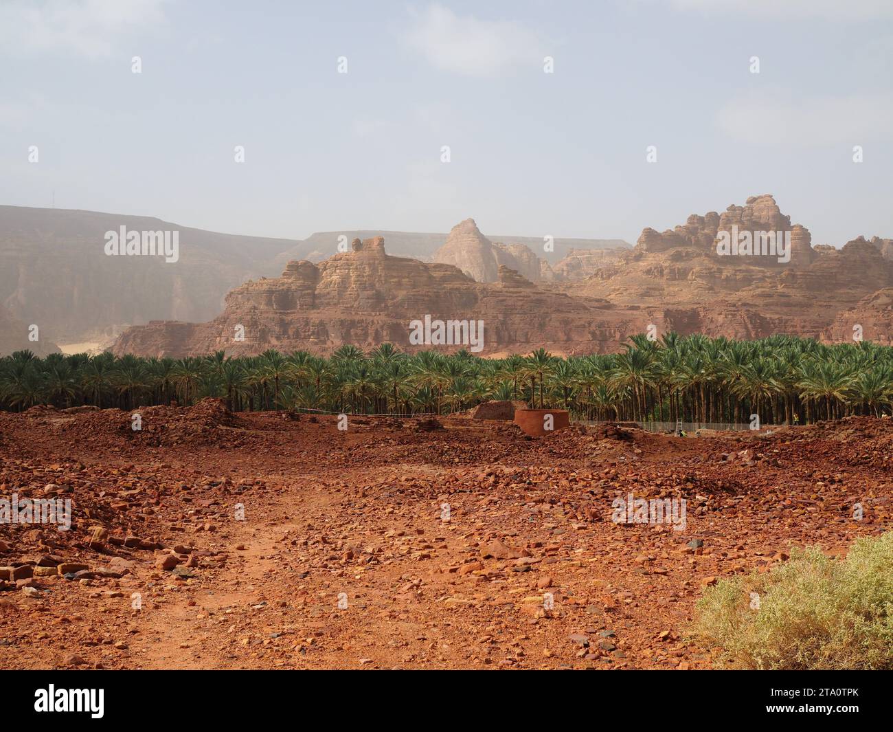 Lion tombs of Dadan, AlUla, Saudi Arabia Stock Photo - Alamy