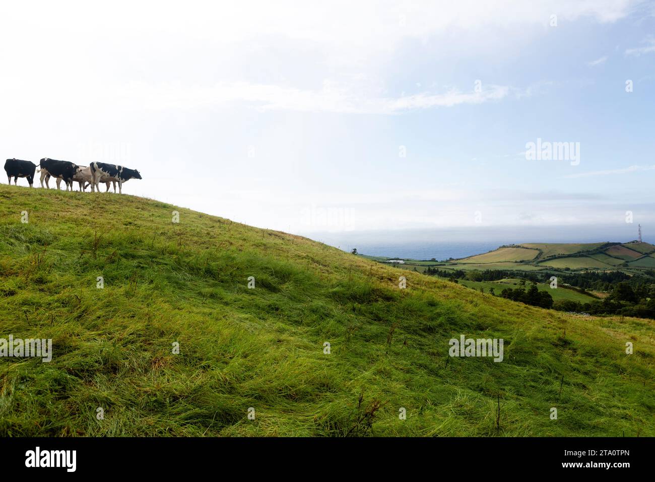 Capturing the Breathtaking Beauty of the Azores, Portugal: An ...