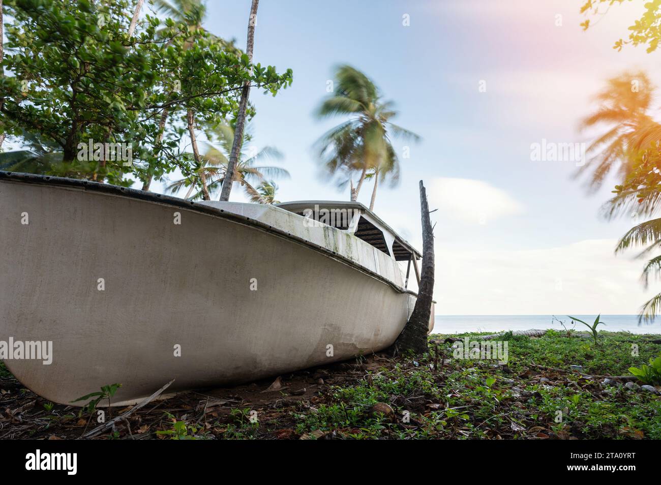 Shipwreck of small boat in beach sea stuck between palm trees Stock ...