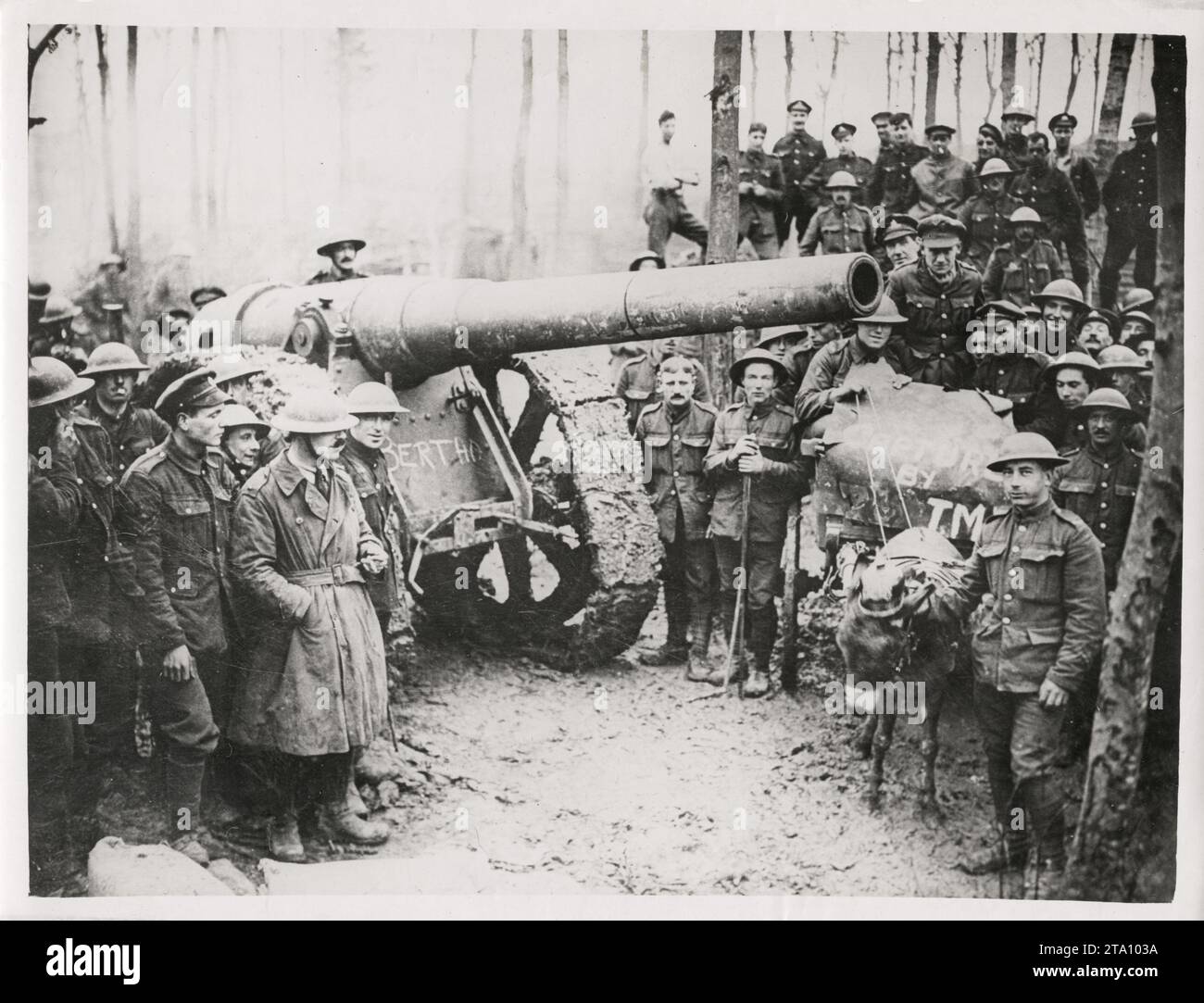 WW1 World War I - A captured German gun and donkey and cart Stock Photo ...