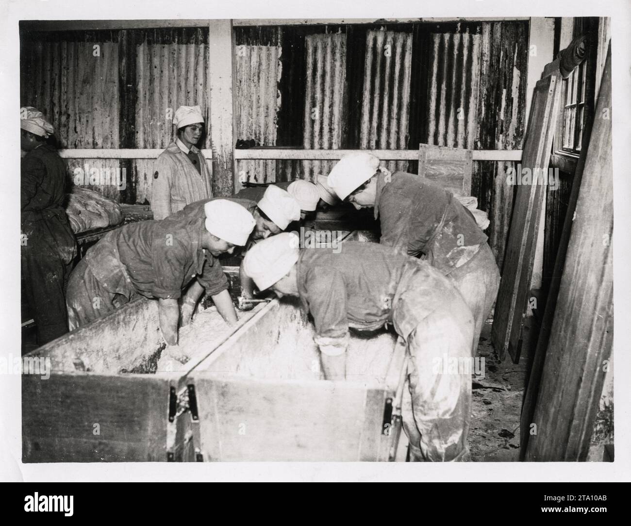 WW1 World War I - Women's Army Auxiliary Cops (WAAC) making bread ...