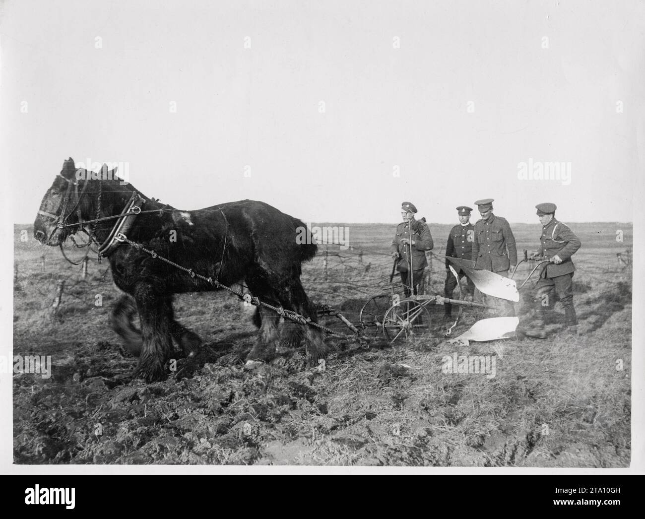 World war i war zone hi-res stock photography and images - Alamy