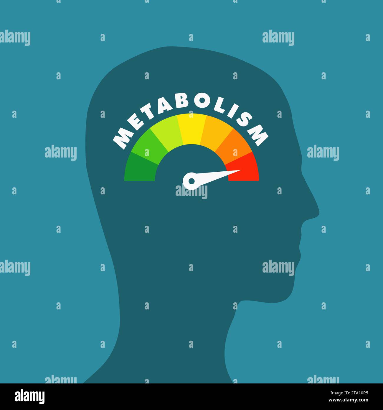 Metabolism level meter on a person head profile view. Health concept ...