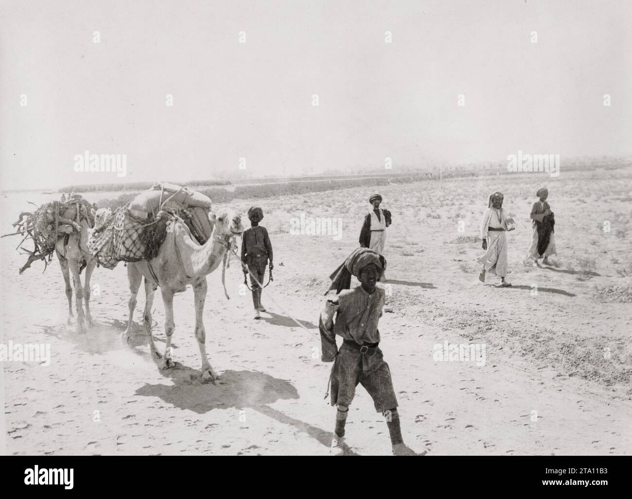 WW1 World War I - Camel transport, Mesopotamia, Iraq Stock Photo - Alamy