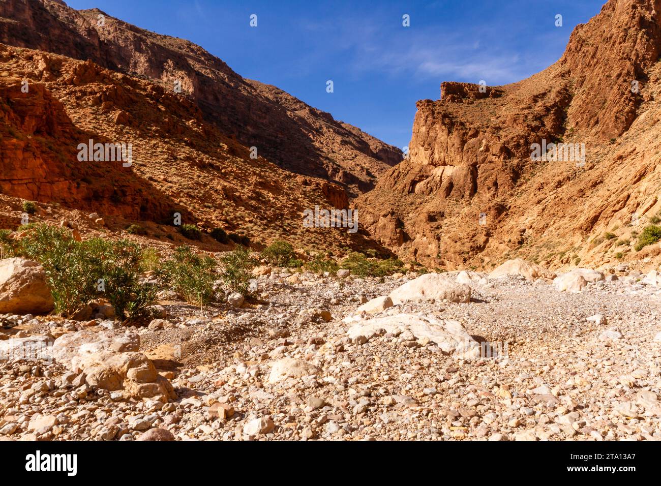 Rocky red slopes of Todra Gorge in the High Atlas Mountains. One of ...