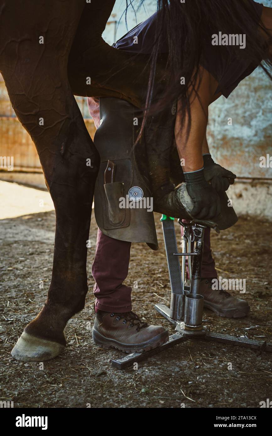 Horse shoe nails hi-res stock photography and images - Alamy