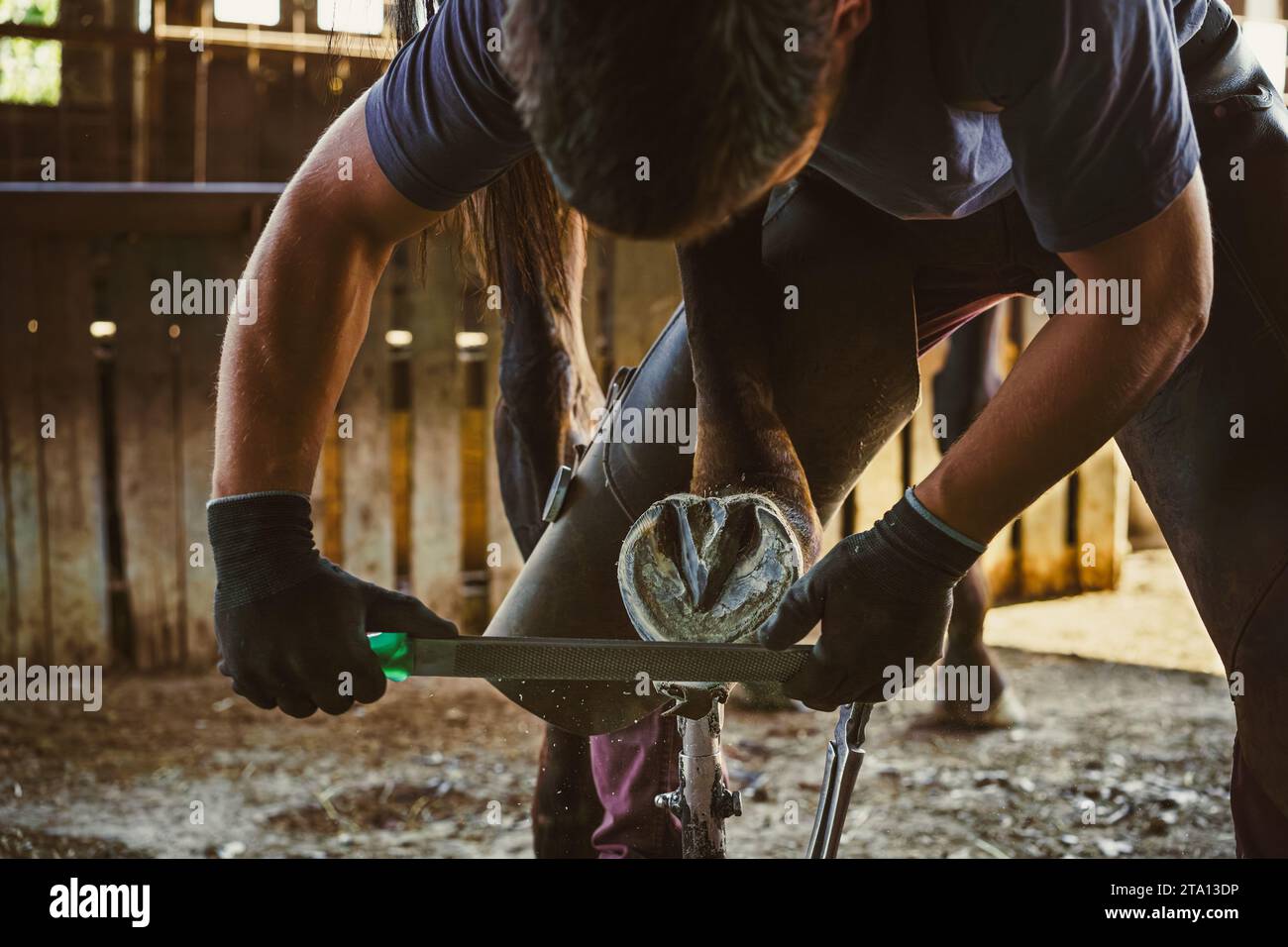 Horseshoeing process hi-res stock photography and images - Alamy