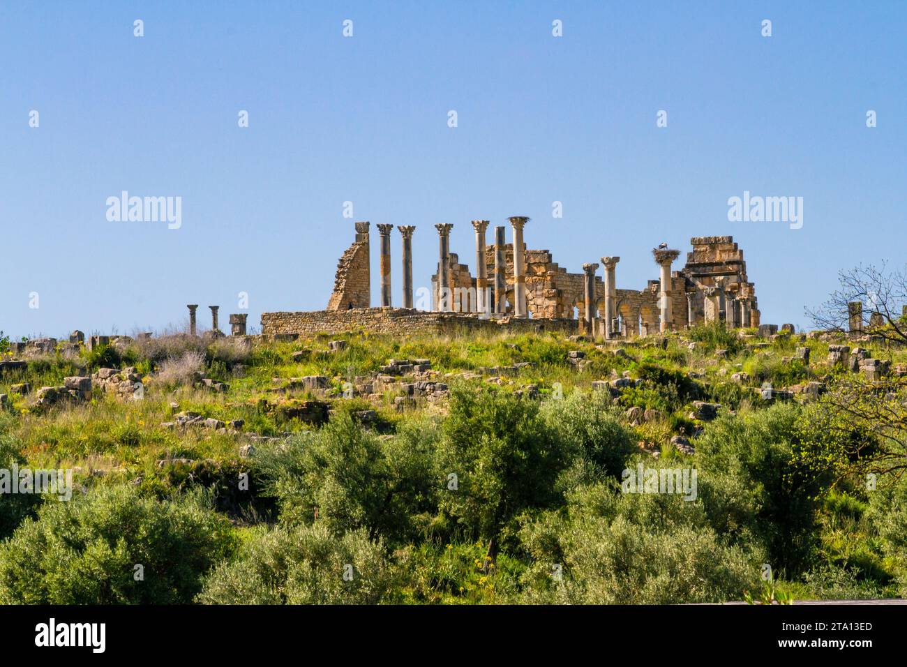 UNESCO heritage.Extensive complex of ruins of the Roman city Volubilis ...