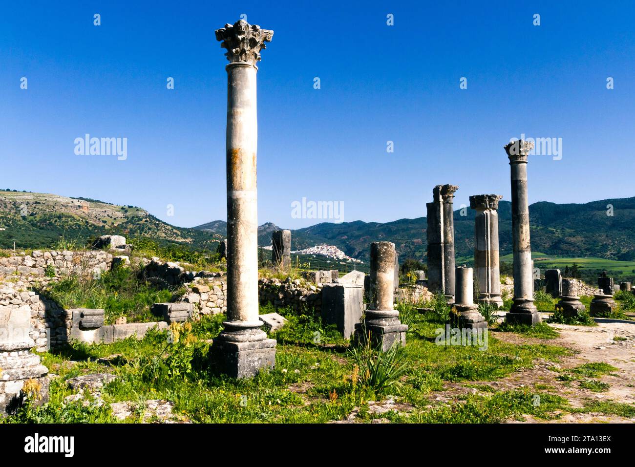 UNESCO heritage.Extensive complex of ruins of the Roman city Volubilis ...