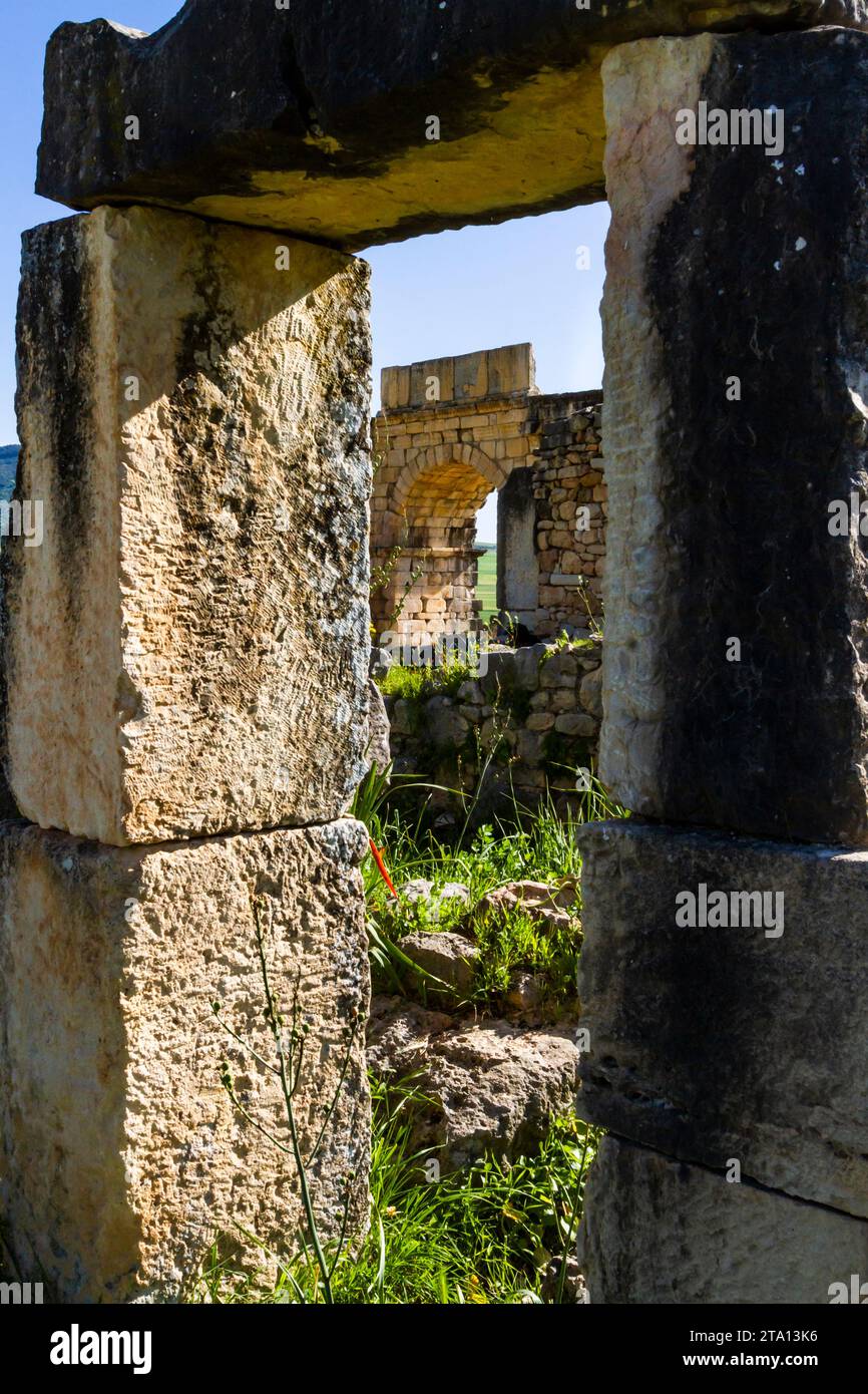 UNESCO heritage.Extensive complex of ruins of the Roman city Volubilis ...