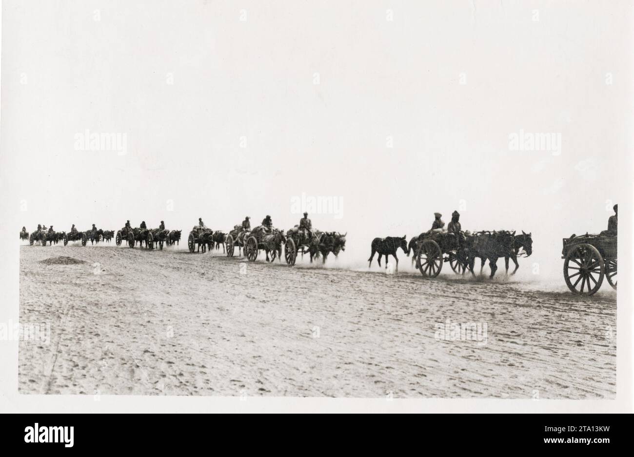 WW1 World War I - Indian carts covoy cross desert Mesopotamia, Iraq ...