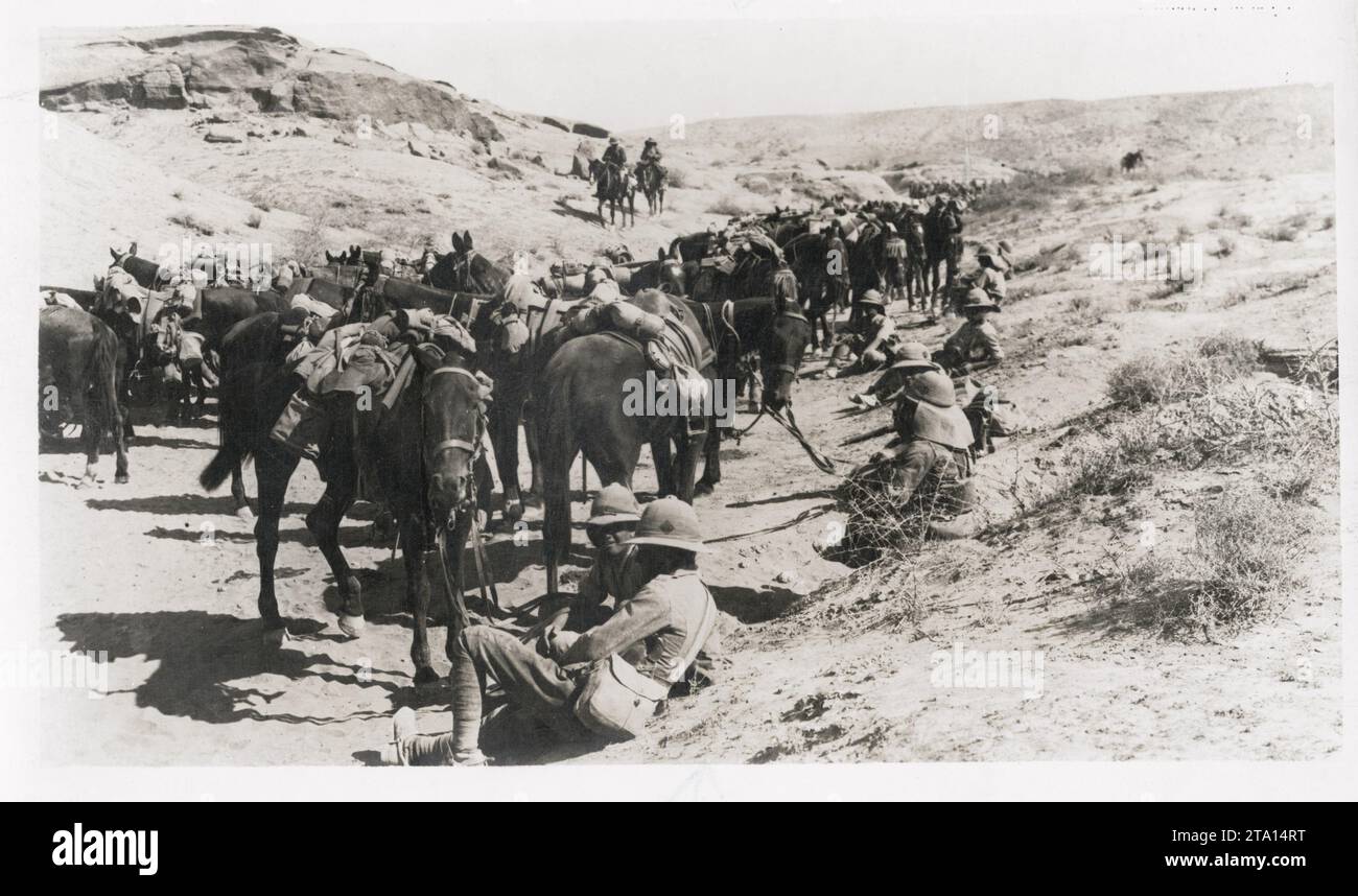 WW1 World War I - Supports awaiting to reinforce cavalry Mesopotamia ...
