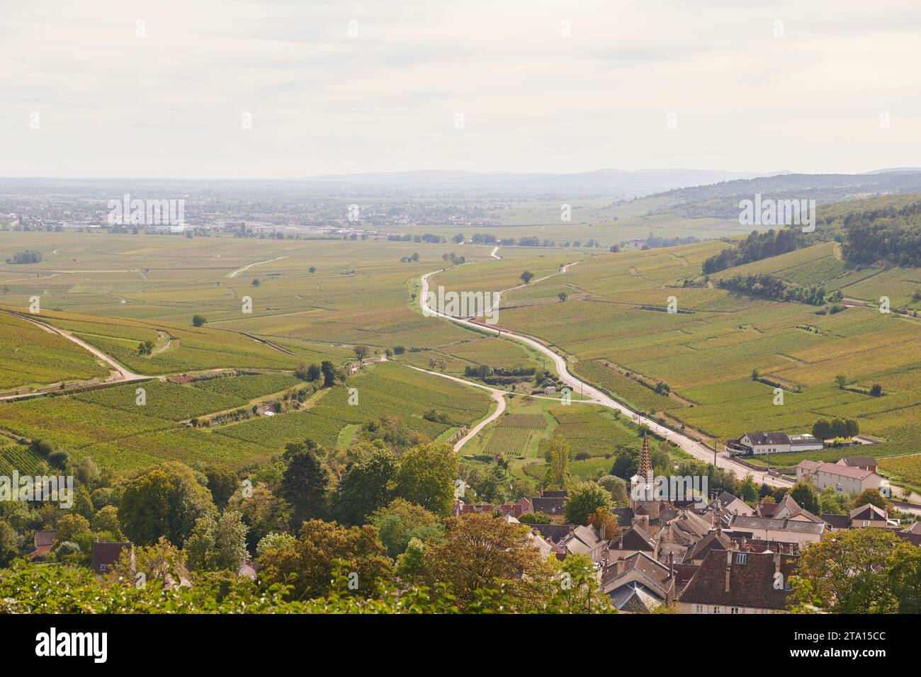 Vines cote de beaune hi-res stock photography and images - Alamy