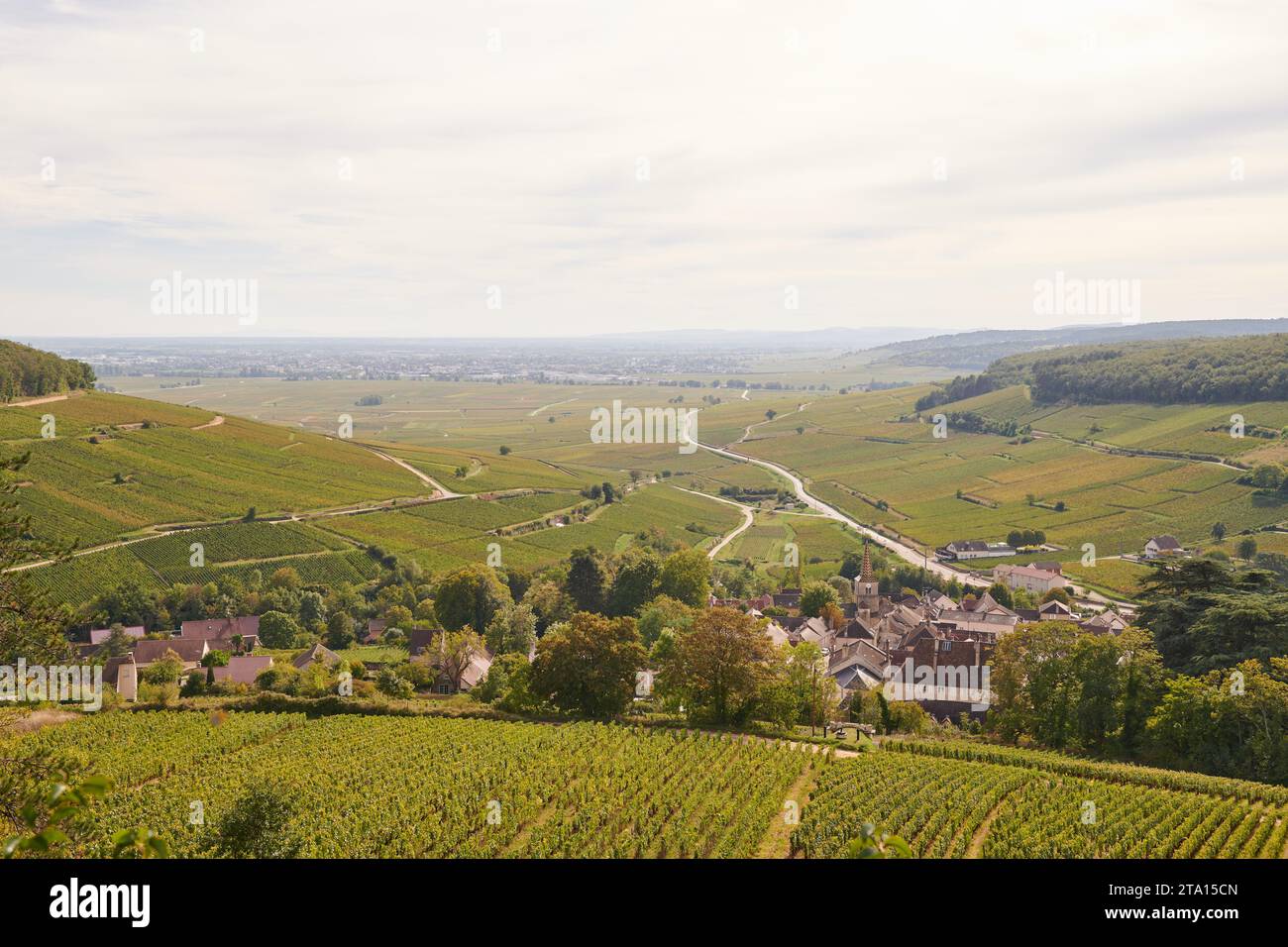 a view of vineyards north of Beaune, France Stock Photo - Alamy