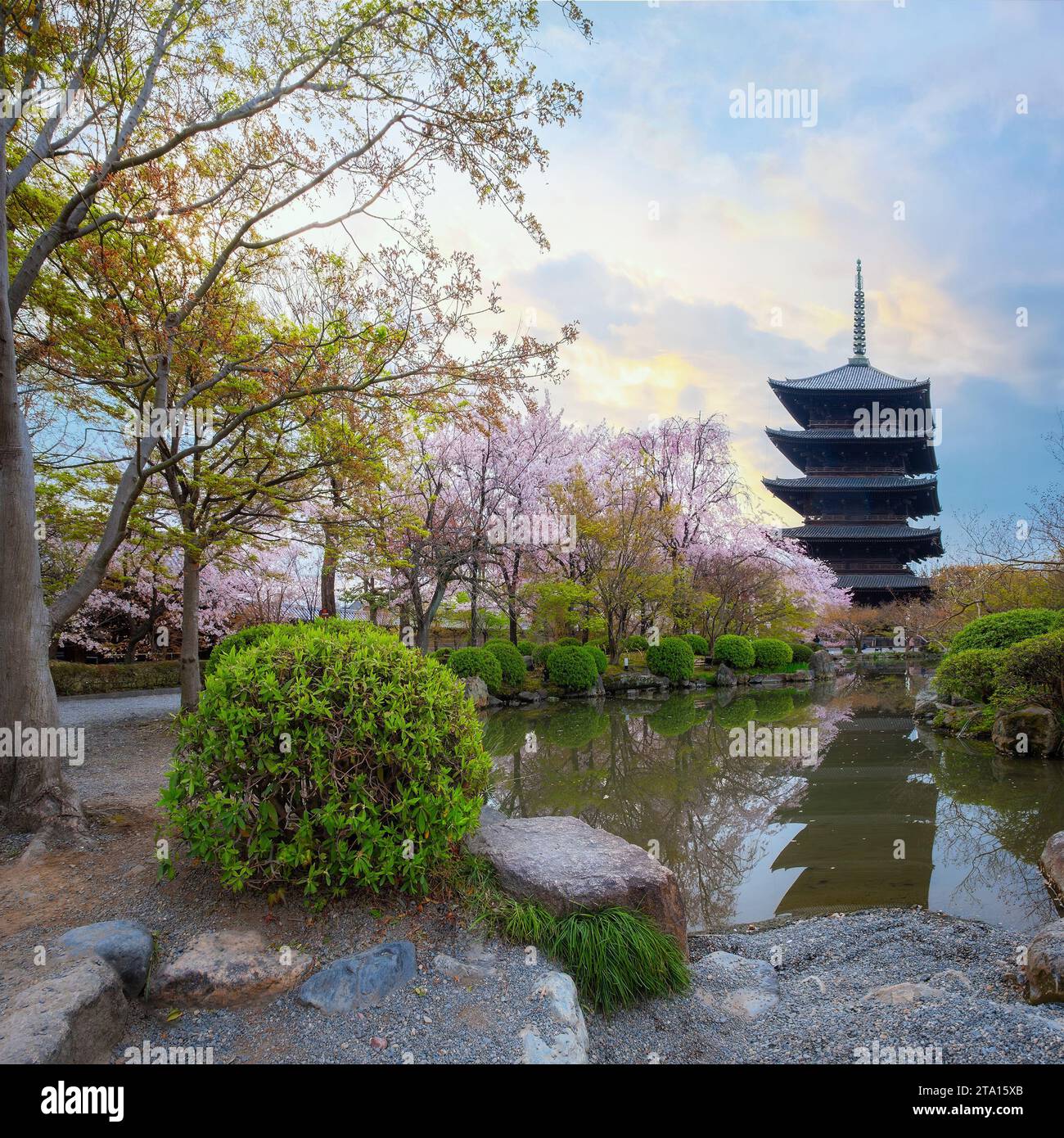 Toji temple kyoto gate hi-res stock photography and images - Alamy