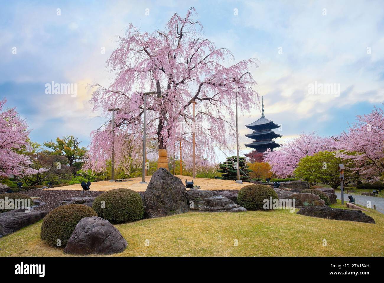 Toji temple kyoto gate hi-res stock photography and images - Alamy