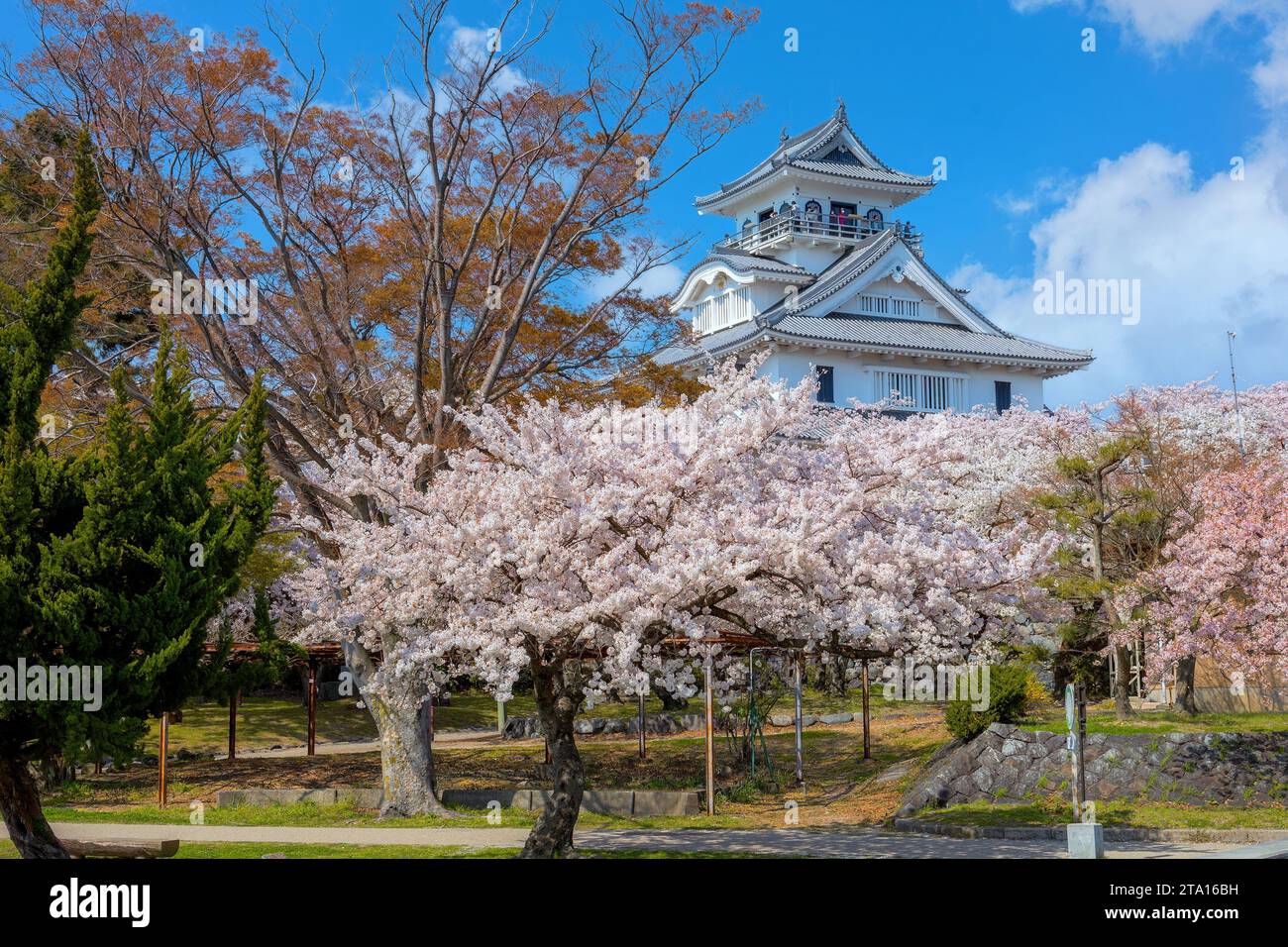 Shiga, Japan - April 3 2023: Nagahama Castle built by feudal lord ...