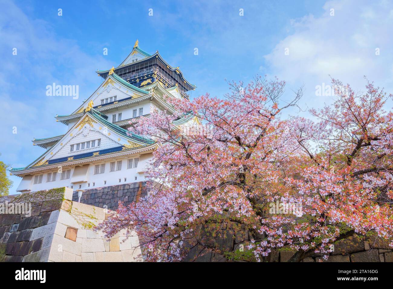 Osaka, Japan - April 4 2023: Osaka Castle dates back to 1583, it's one ...