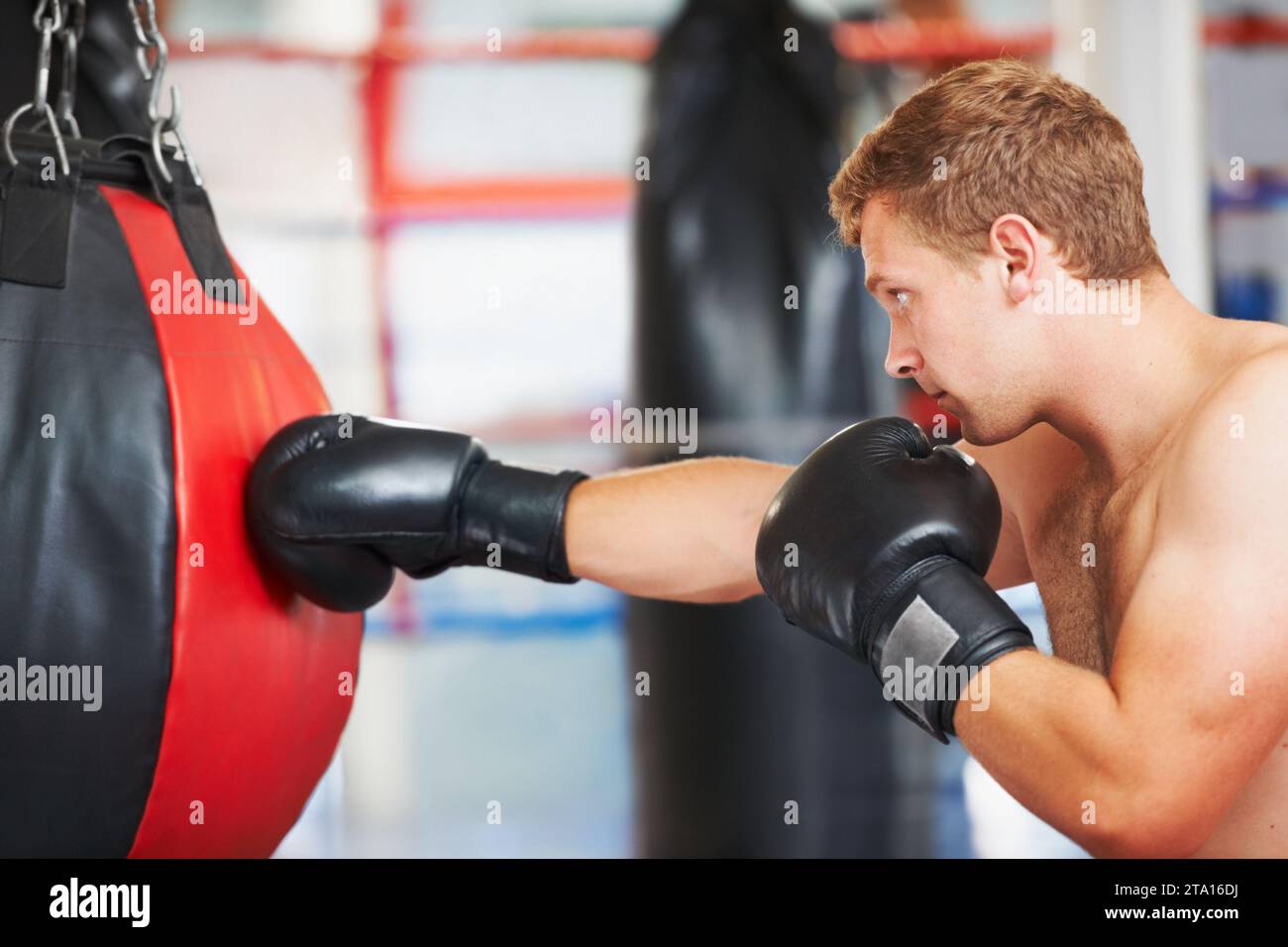 Man, boxer and punching bag at gym for workout, exercise or self ...
