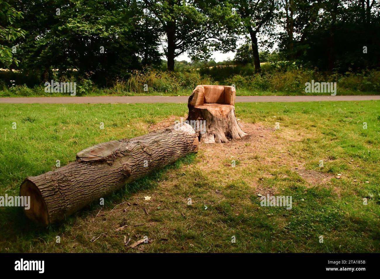 Tree stump chair hi-res stock photography and images - Alamy