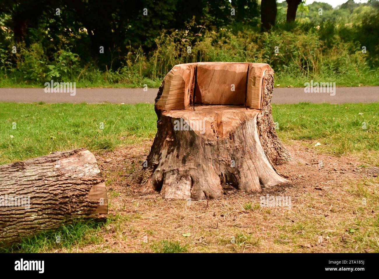 Tree stump chair hi-res stock photography and images - Alamy