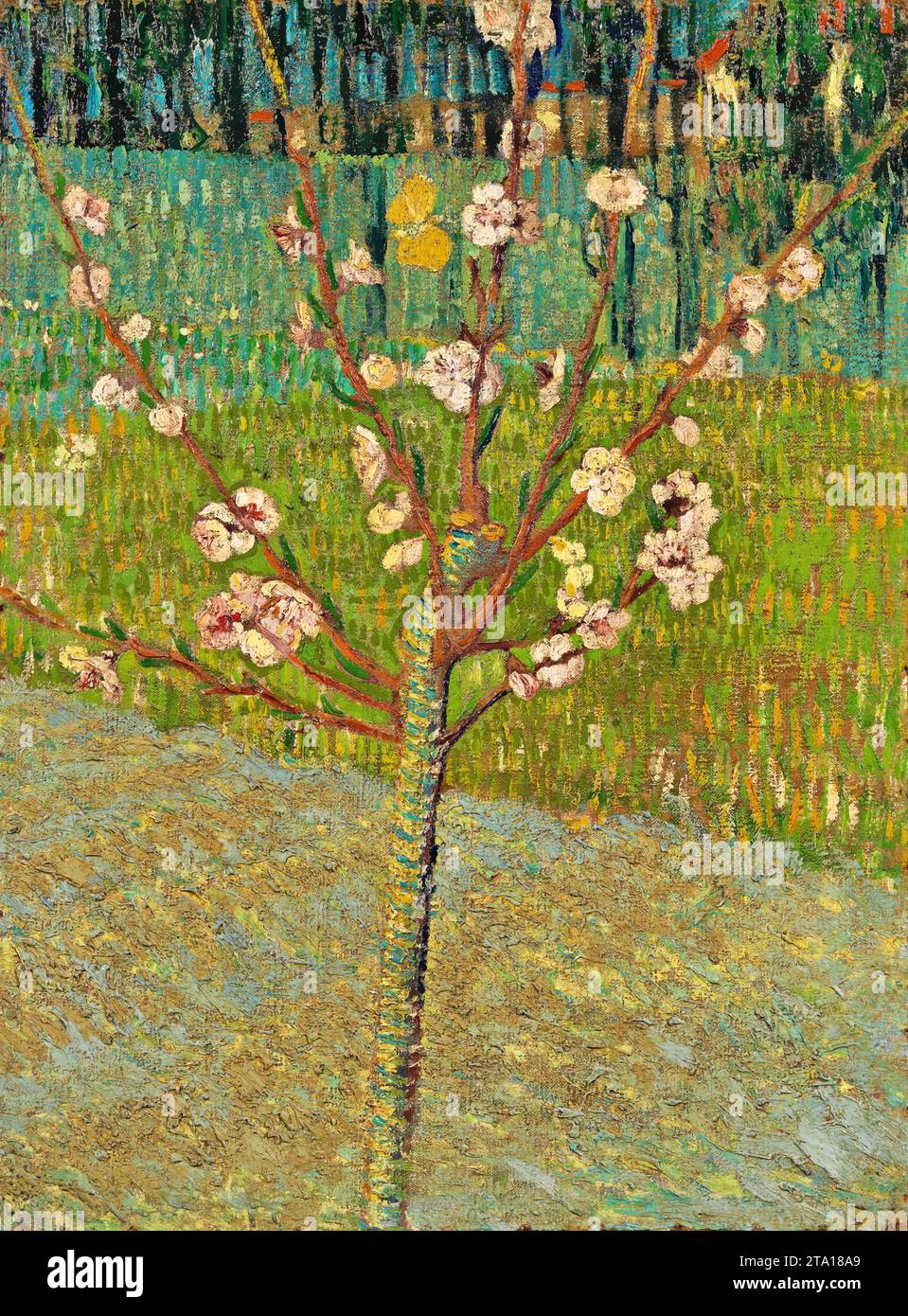 Tree wall in spring Stock Vector Images - Alamy