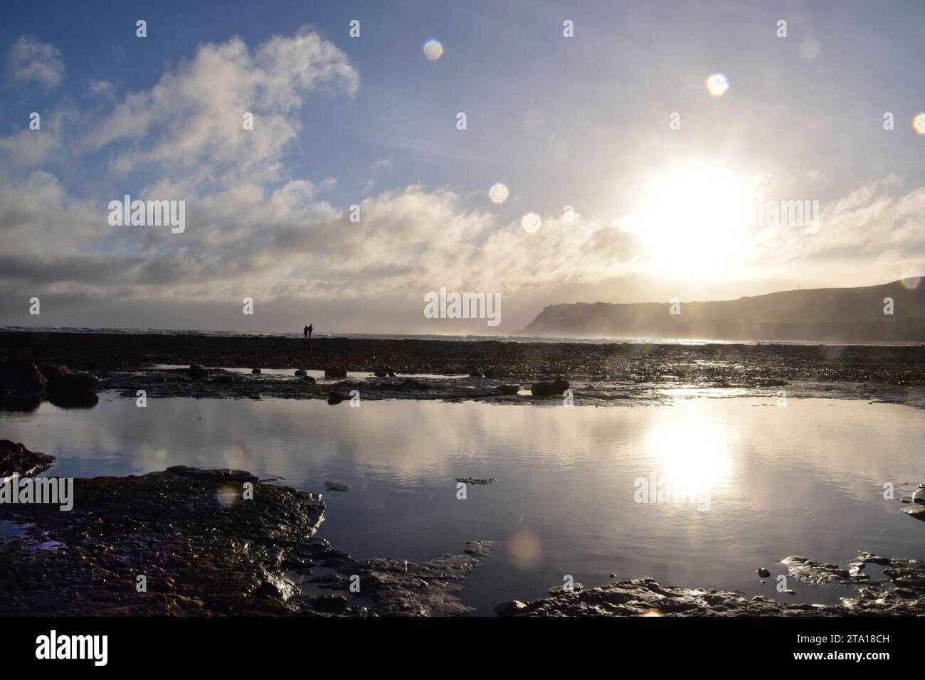 Boggle hole fossils hi-res stock photography and images - Alamy