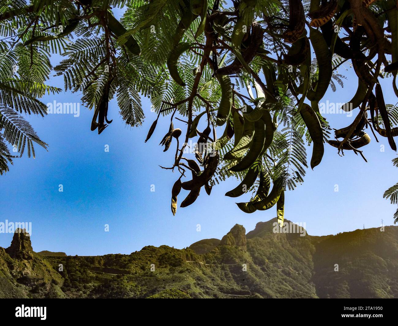 Shade giving structures hi-res stock photography and images - Alamy