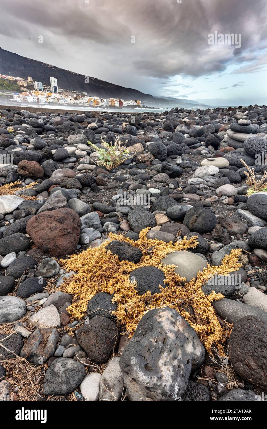 Notion de texture hi-res stock photography and images - Alamy