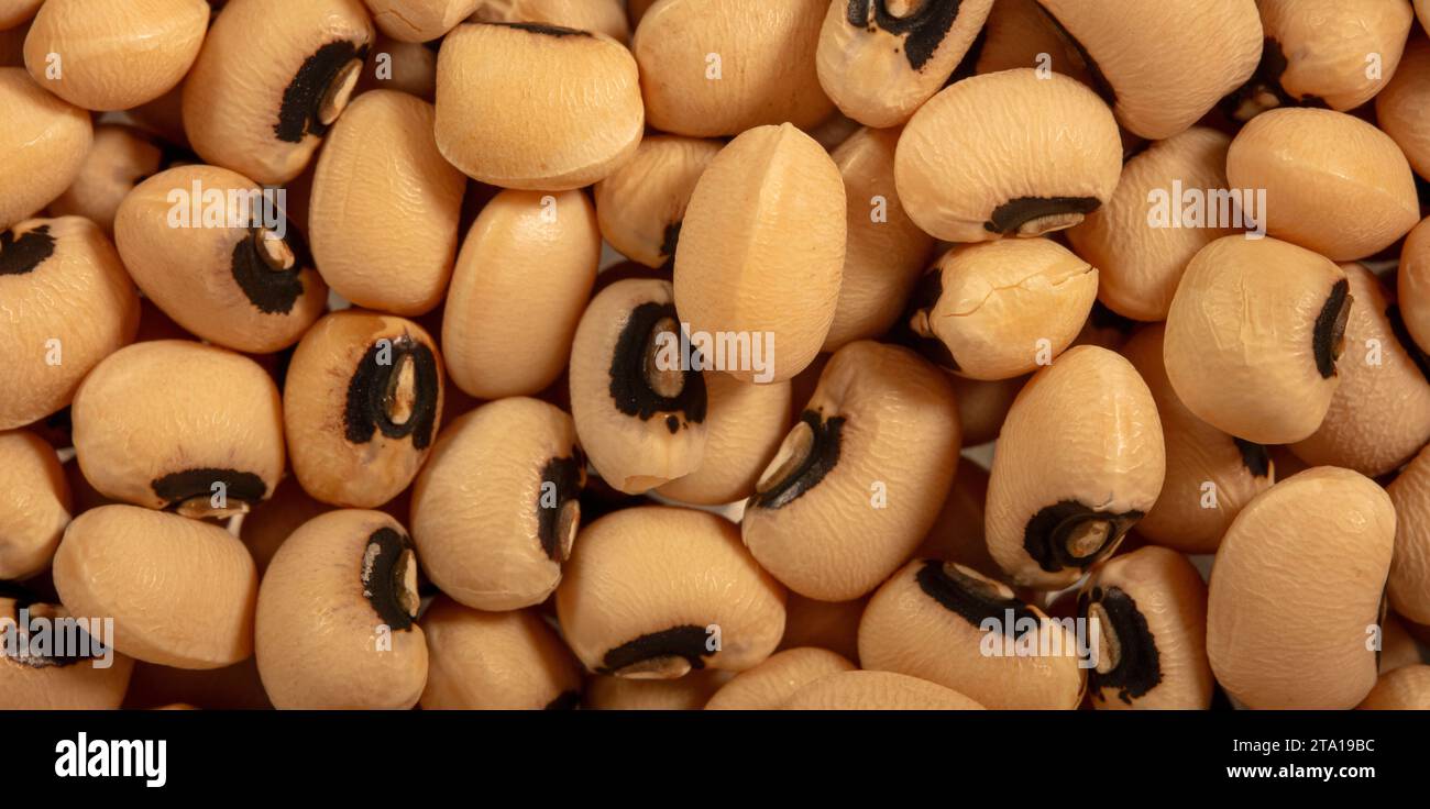 Close up high resolution food still life of commercially important ...